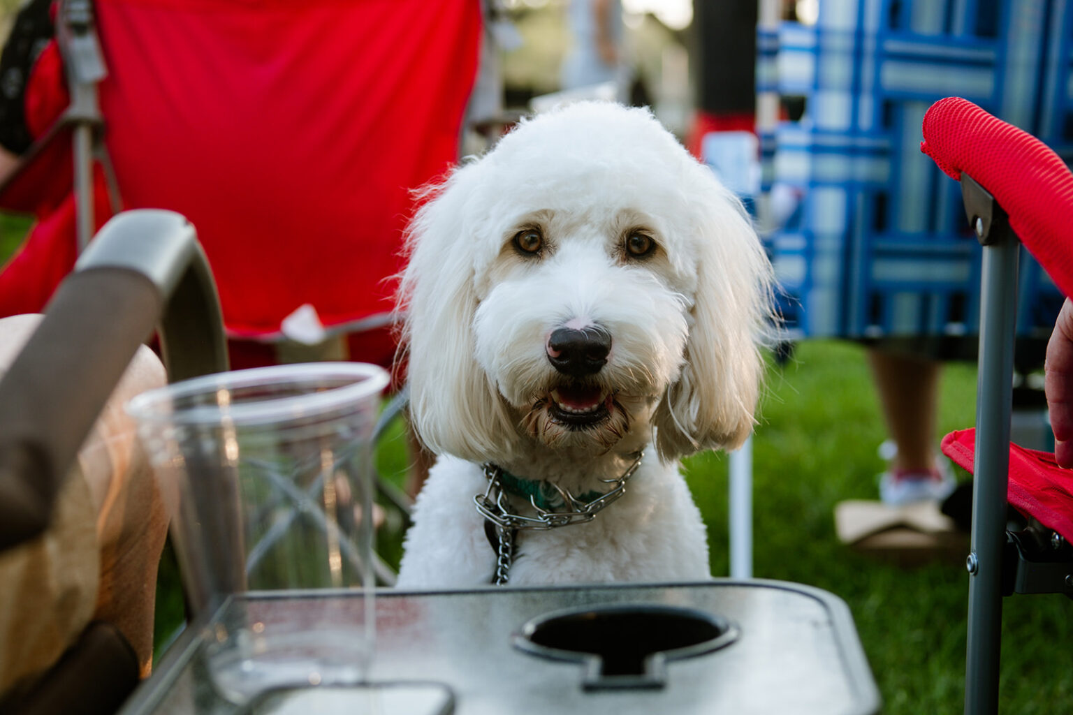 Rockton River Market - Visit Rockton