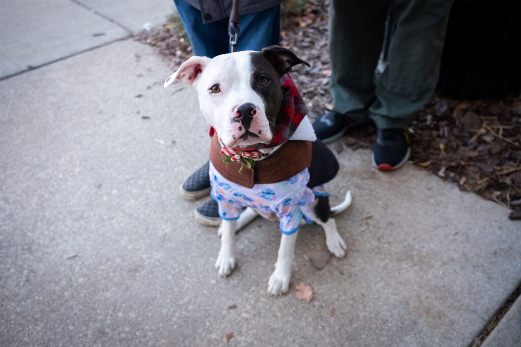 Image Archive - Visit Rockton